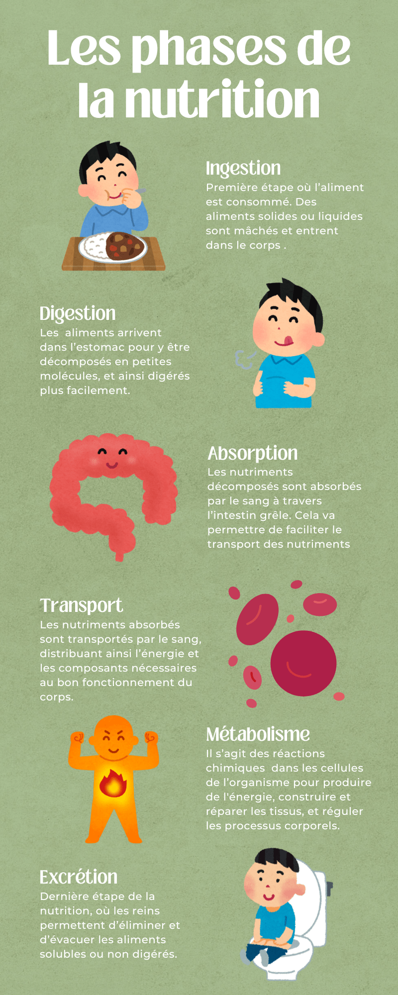 Nutrition : nos conseils pour une bonne alimentation et rester en bonne ...