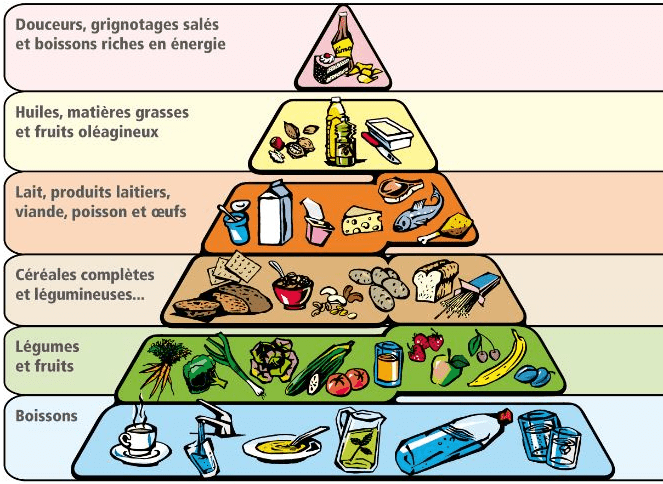 Pyramide alimentaire : l'outil pour une alimentation équilibrée ...